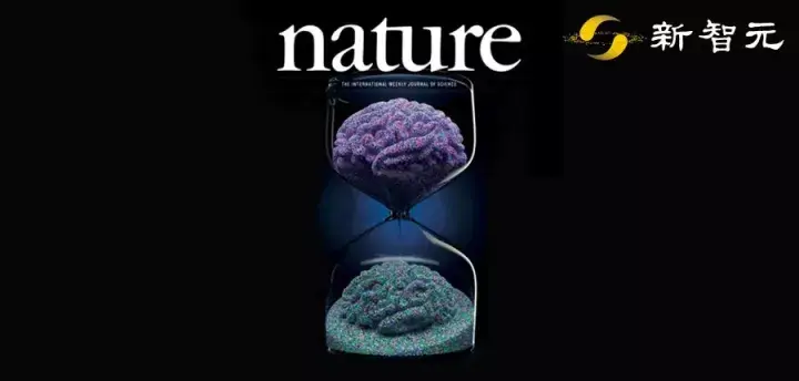Nature 重磅封面：复活死亡大脑！ - 知乎