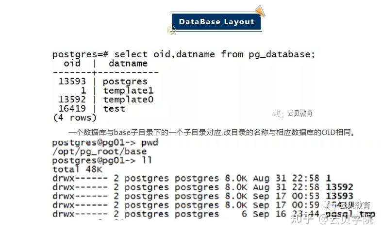 【干货分享】PostgreSQL技术文章：Database Cluster Table - 知乎