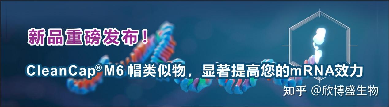 CleanCap®M6帽类似物，显著提高mRNA效力 - 知乎