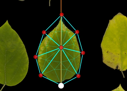 SpeedTree流程学习笔记 - 知乎