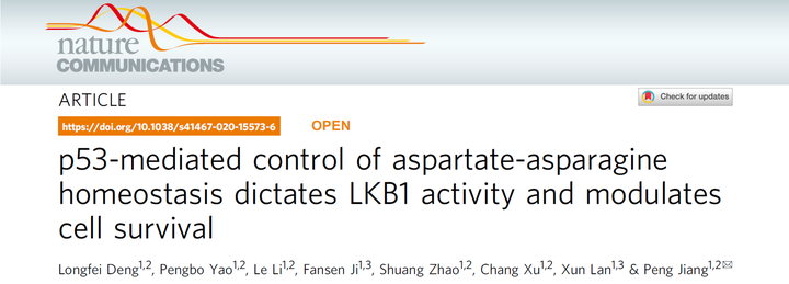 文献阅读：p53介导的Asp-Asn平衡调控LKB1活性并影响细胞存活 - 知乎