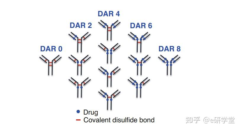 二维液相色谱与高分辨质谱联用表征分析抗体偶联药物（ADC） - 知乎