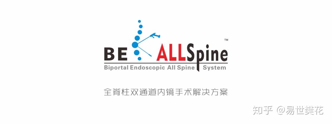腰椎融合术中的Cage您选对、放对了吗?【BESS丨UBE技术椎间孔镜丨ENDO-ALLspine】 - 知乎