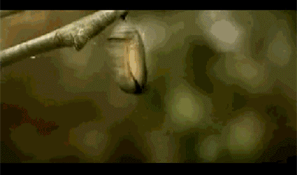 20190121-transmute - 知乎