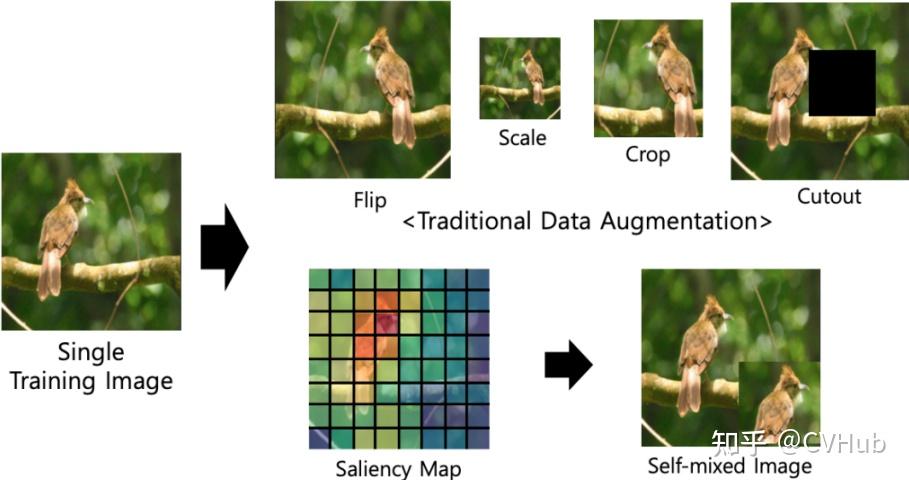 一文看尽深度学习中的各种数据增强 - 知乎