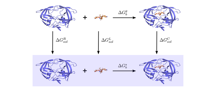 【分子模拟】MMPBSA - 知乎