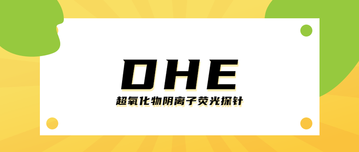 Dihydroethidium (DHE)—超氧化物阴离子荧光探针 - 知乎
