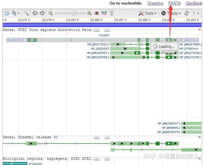 生物信息学入门——第一次FASTA文件处理（ NCBI / Biopython ） - 知乎