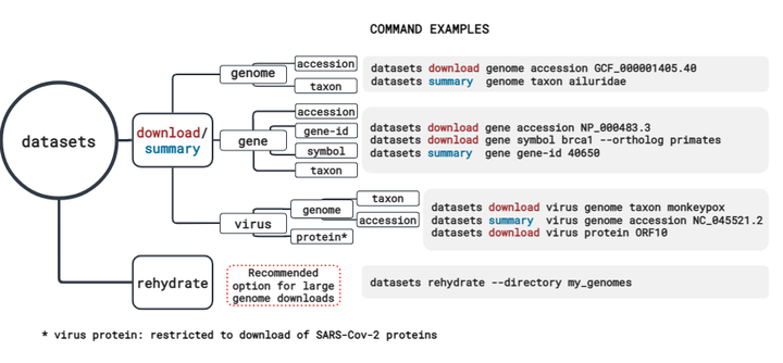 datasets命令行工具 下载NCBI基因组数据 - 知乎