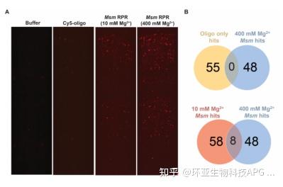 芯片点样仪联合SPRi实现RNA小分子药物的高通量分子互作筛选 - 知乎