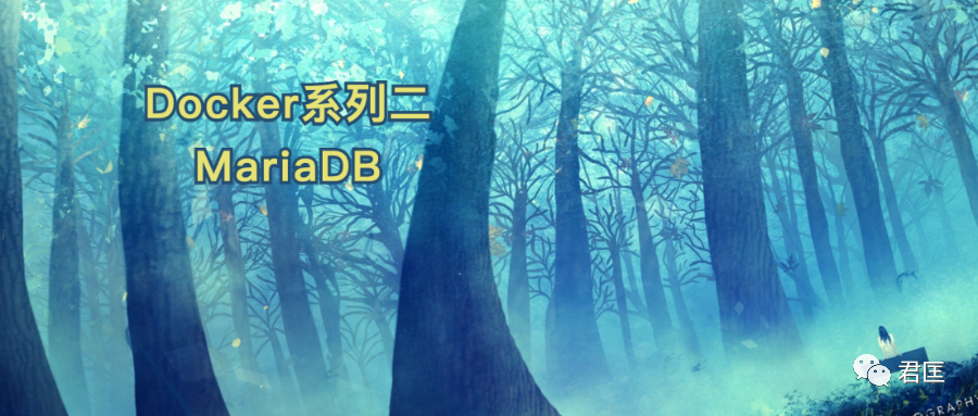 Docker系列二MariaDB - 知乎