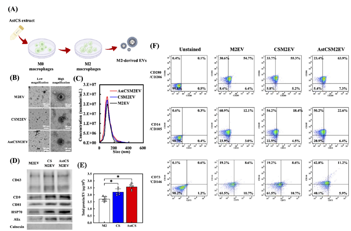 CytoFLEX nano精准解析外泌体表型，赋能骨再生前沿研究与应用 - 知乎