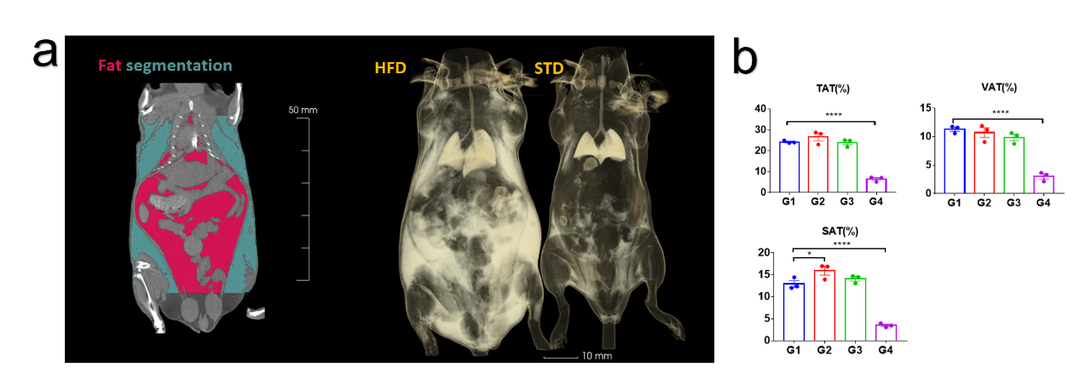 药效纵向研究新利器？Micro-CT影像技术在药物临床前小鼠药效模型上的应用 - 知乎