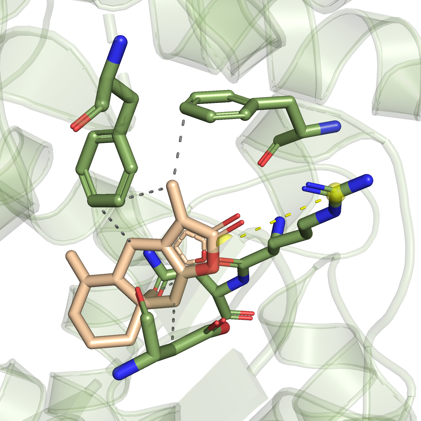 pymol作对接图第2版（3min快速做图） - 知乎
