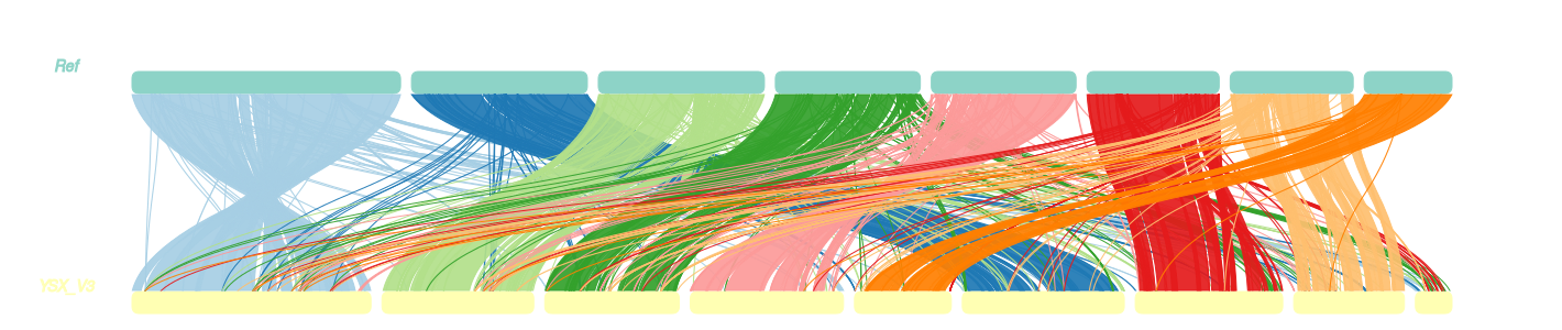 NGenomeSyn之用minimap2 快速 作 两个基因组的共线性图 - 知乎