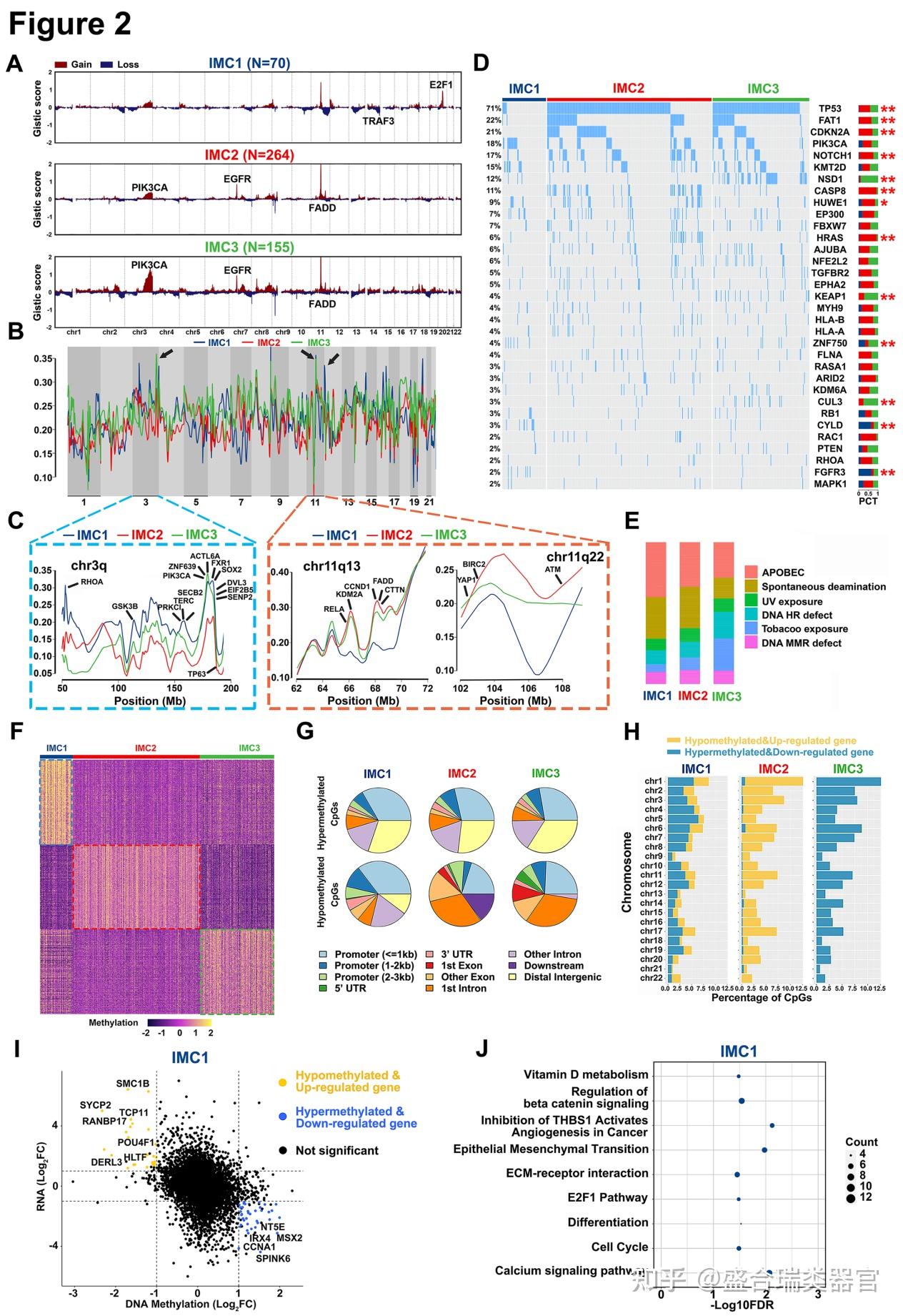 多组学+类器官解锁Cancer Research！还有谁不会用它俩上大分？ - 知乎