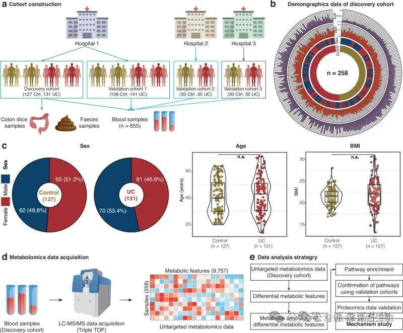 《医学多组学文献分享》Nat. Commun. 重磅发现：靶向ASS1-精氨酸轴或成溃疡性结肠炎治疗新策略 - 知乎