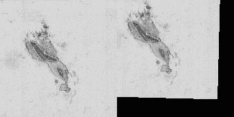 Python科研图像处理——pyStackReg图像配准 - 知乎