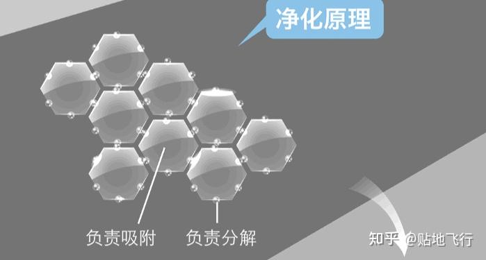 空气净化器如何选？高性价比空气净化器推荐，airx、IAM、舒乐氏、IQAir、戴森、352等热销空气净化器比较 - 知乎