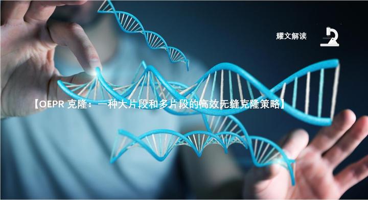 【耀文解读】oepr 克隆：一种大片段和多片段的高效无缝克隆策略 知乎