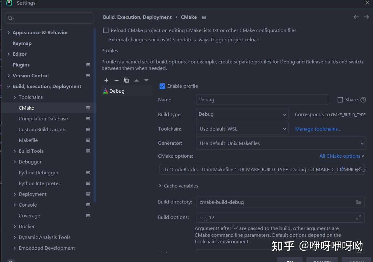 CMU 15445 vscode/clion clang12 cmake环境配置 - 知乎