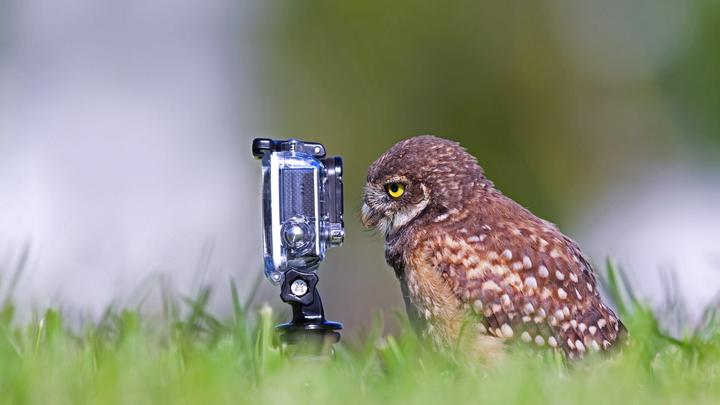 SQLAlchemy SQLAlchemy