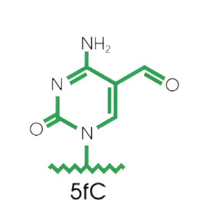 5fC DNA甲酰基胞嘧啶测序 - 知乎