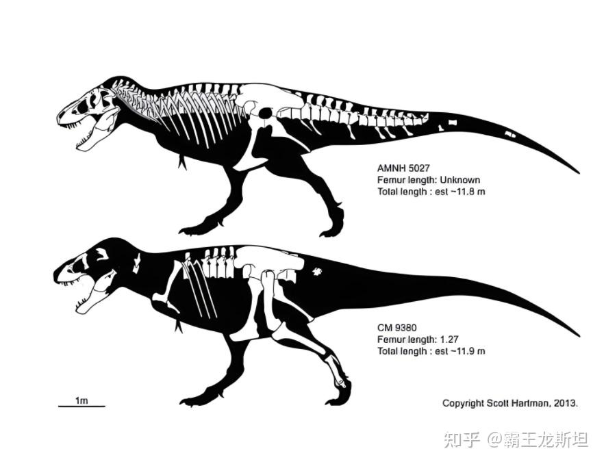 极限生物第二期：最大的肉食恐龙：霸王龙 - 知乎