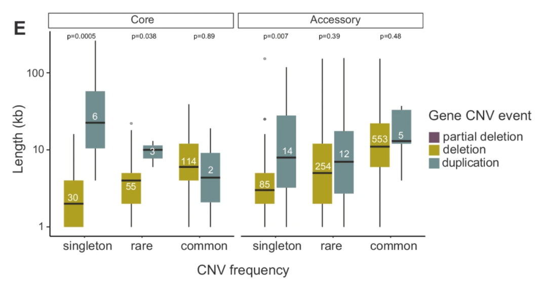 从零开始用R语言绘制临床CNV分析图：分组箱线图加P值，文章复现 - 知乎