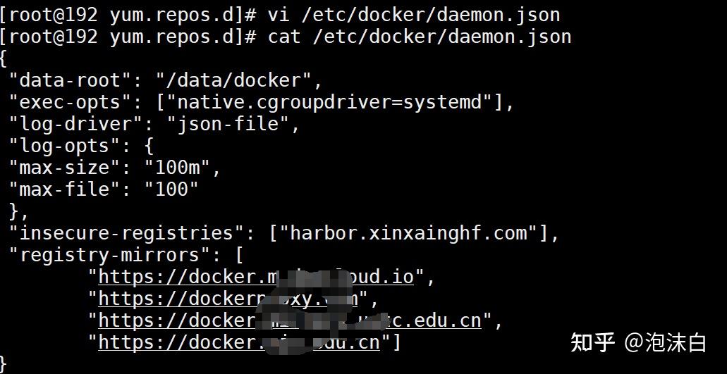 unable to configure the Docker daemon with file /etc/docker/daemon.json: invalid character 'Â ...