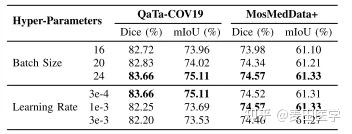 LViT: 语言与视觉Transformer在医学图像分割中的应用| 文献速递-深度学习结合医疗影像疾病诊断与病灶分割 - 知乎
