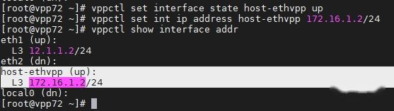 openVPN + VPP = openVPP - 知乎