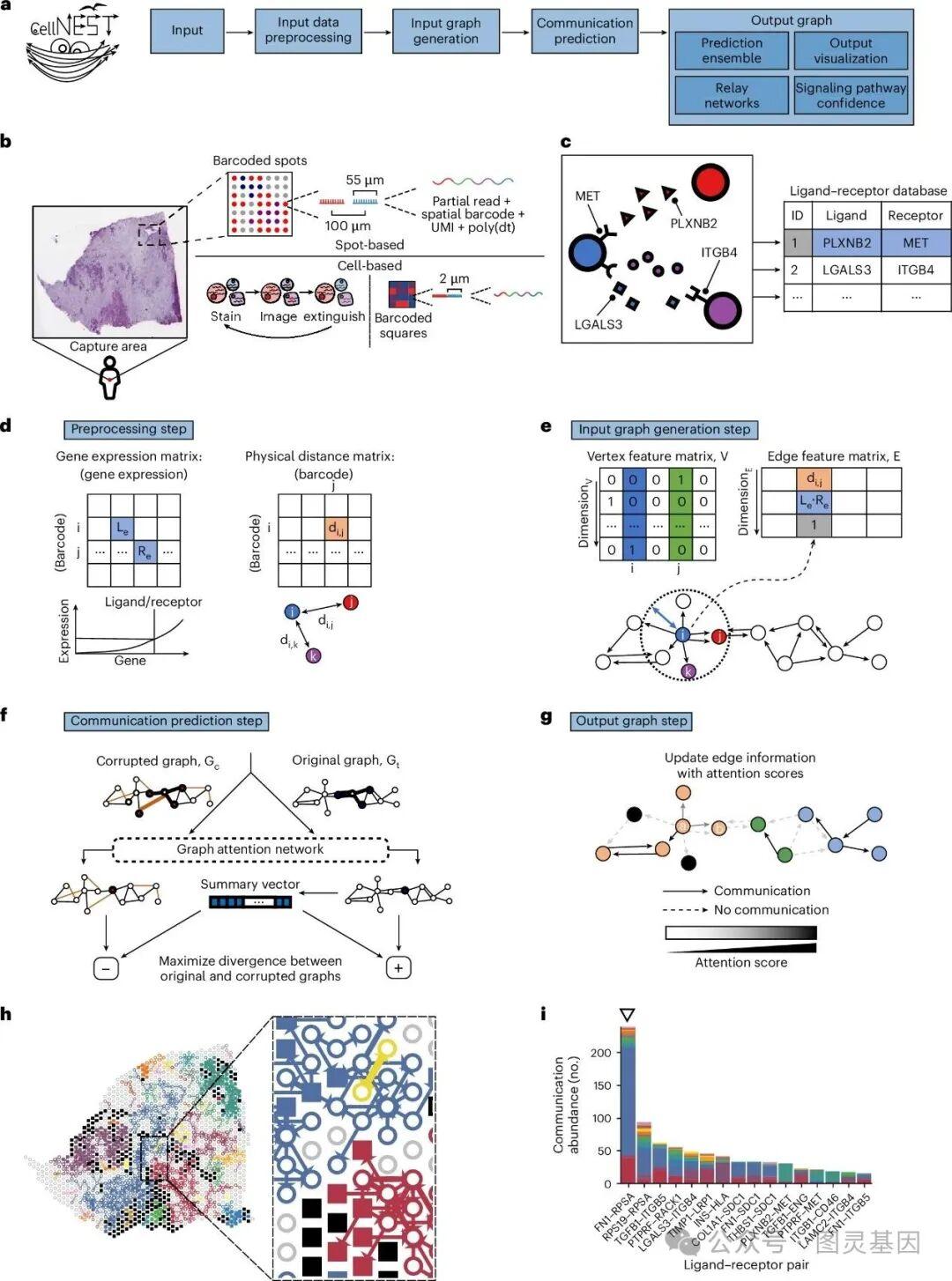 Nat Methods | 基于空间组学探讨细胞通讯：CellNEST揭示细胞间中继网络 - 知乎