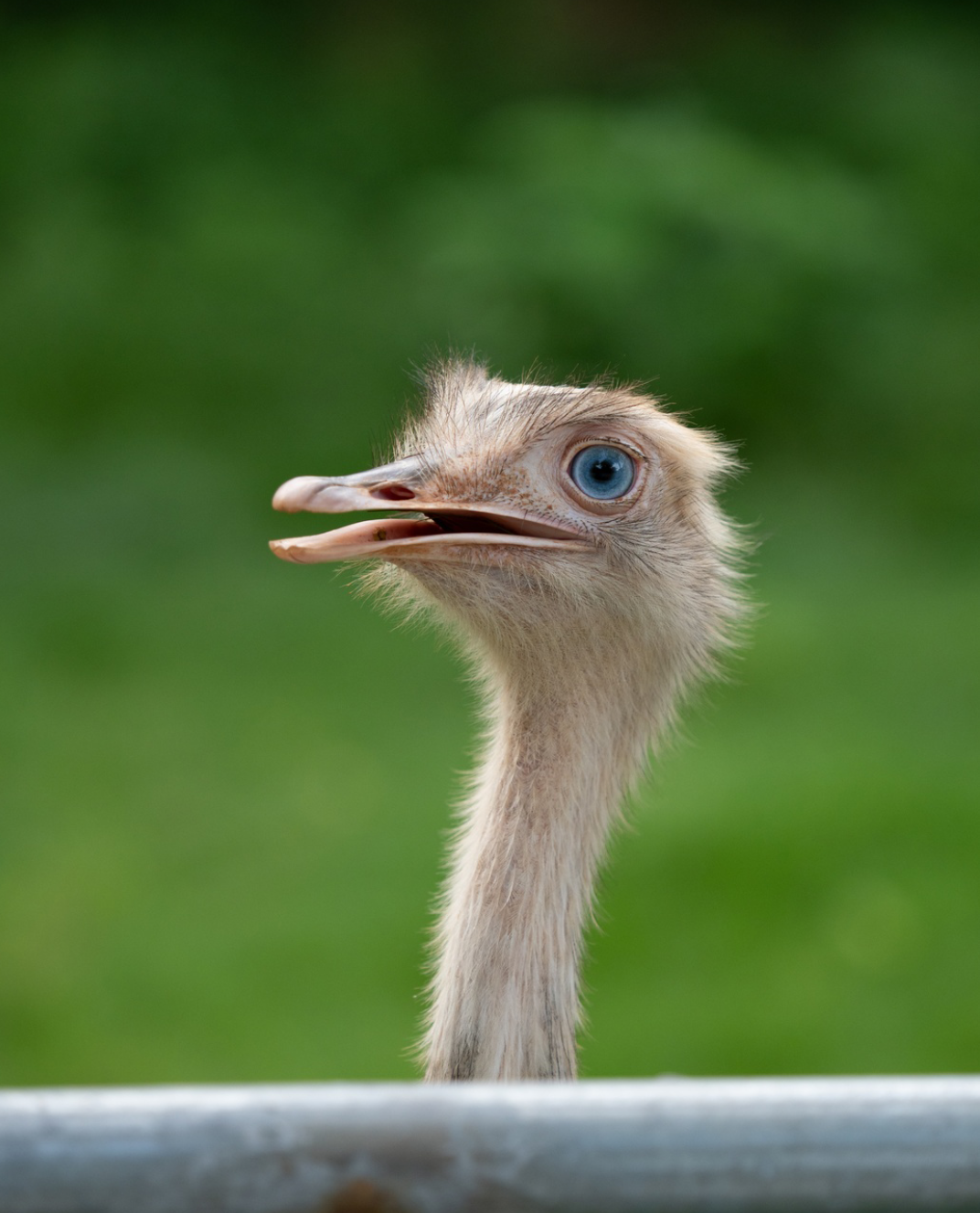 奥林巴斯em52和em53差距很大吗，小白想买个奥林巴斯的相机配12-40镜头，可以推荐一下吗，谢谢? - 知乎