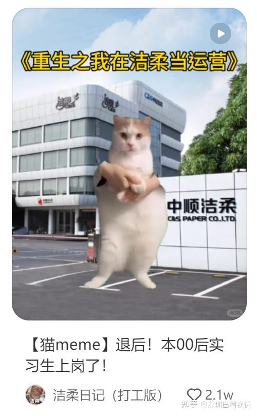 点赞10w+，涨粉8w，这届品牌靠猫meme火了？ - 知乎