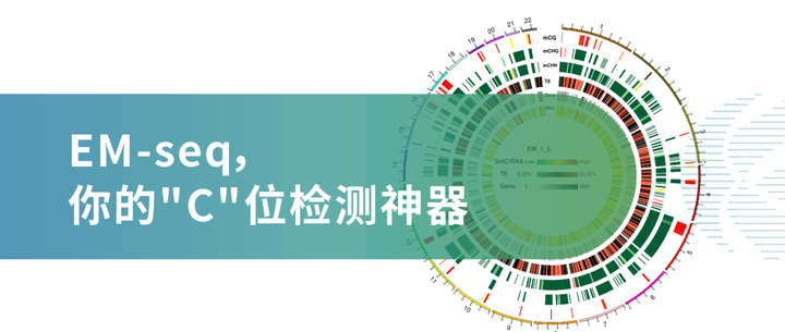EM-seq，你的"C"位检测神器 - 知乎