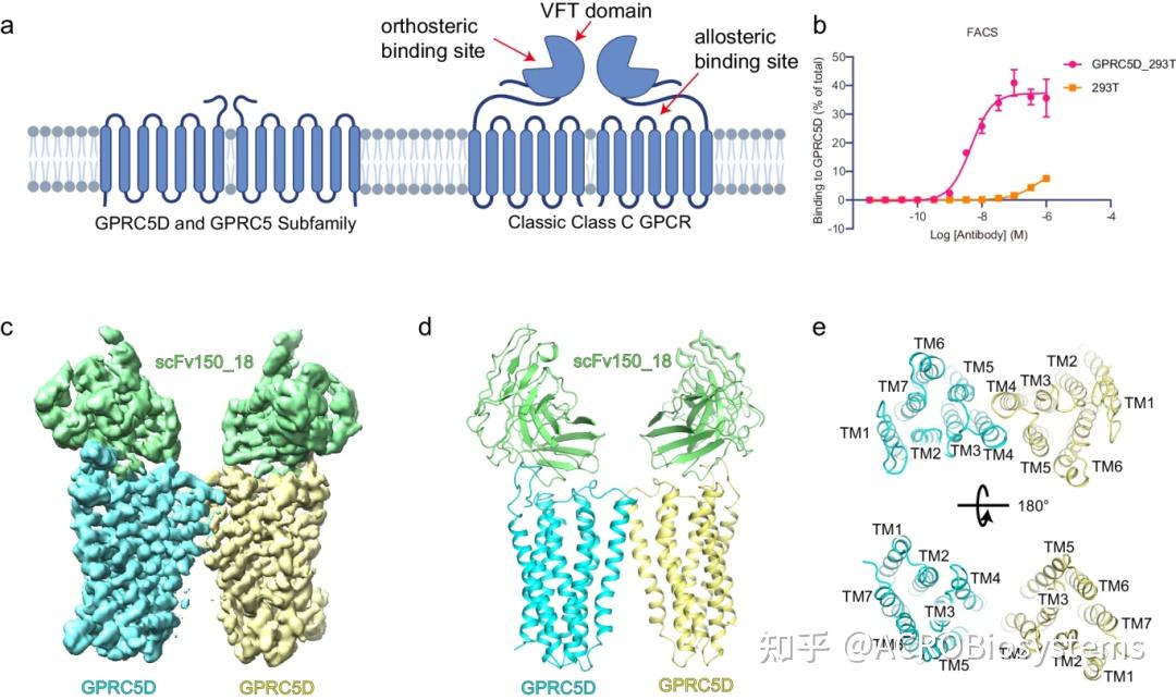 破译骨髓瘤的黄金靶点：GPRC5D全平台解决方案领航新药研发 - 知乎