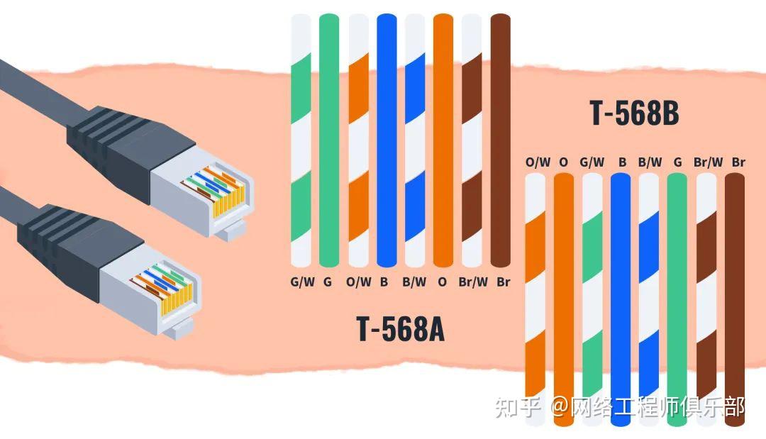涨知识了！RJ45网线水晶头线序568A与568B的区别都在这里 - 知乎