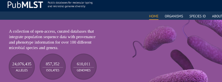 进化分析 l cgMLST介绍（一） - 知乎