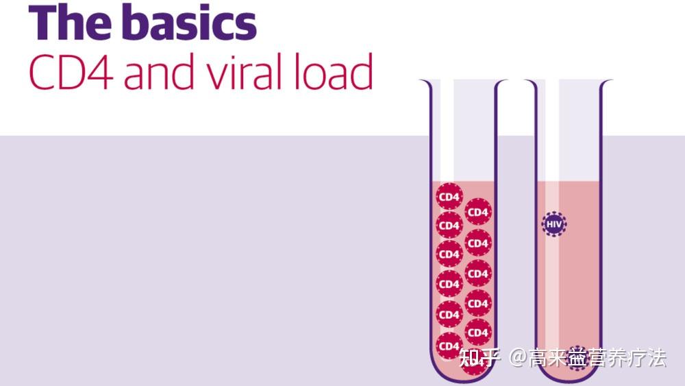CD4细胞计数和感染艾滋病毒的关系 - 知乎