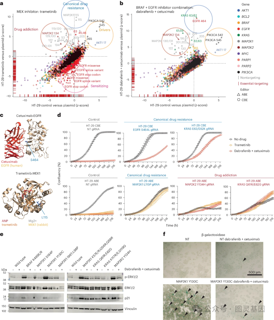 Nat Gen | 新技术大规模揭示癌症耐药性的产生原因和过程 - 知乎