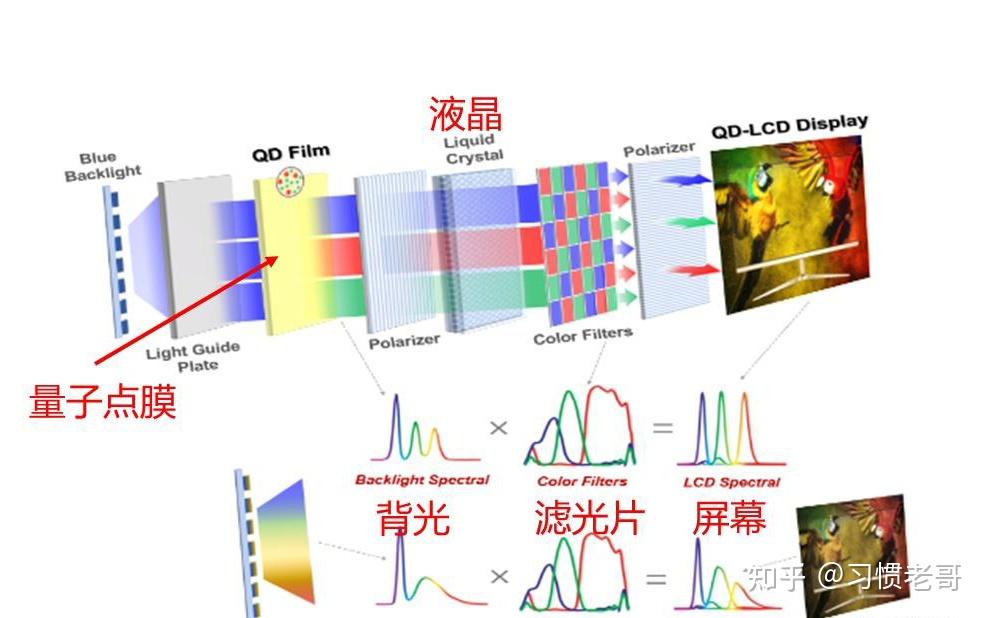 全球首台116吋RGB-Mini LED电视来了！海信RGB-Mini LED深度解读 - 知乎