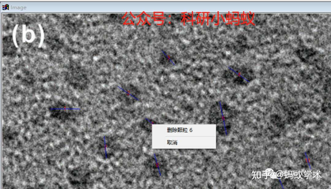 Nano measurer使用教程 - 知乎