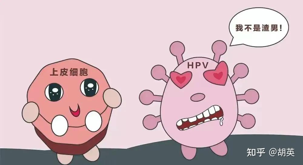 hpv13种高危阳性感染五年，我是如何做到的顺利转阴？ - 知乎