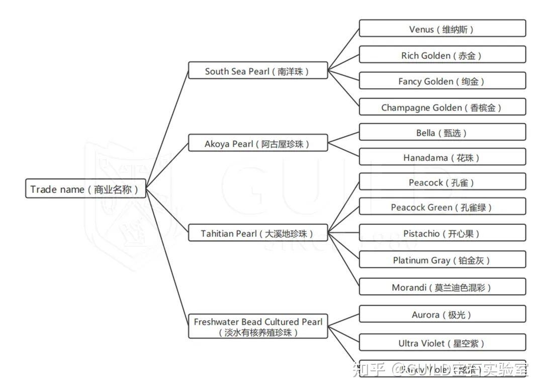 GUILD珍珠证书怎么看呢？ - 知乎