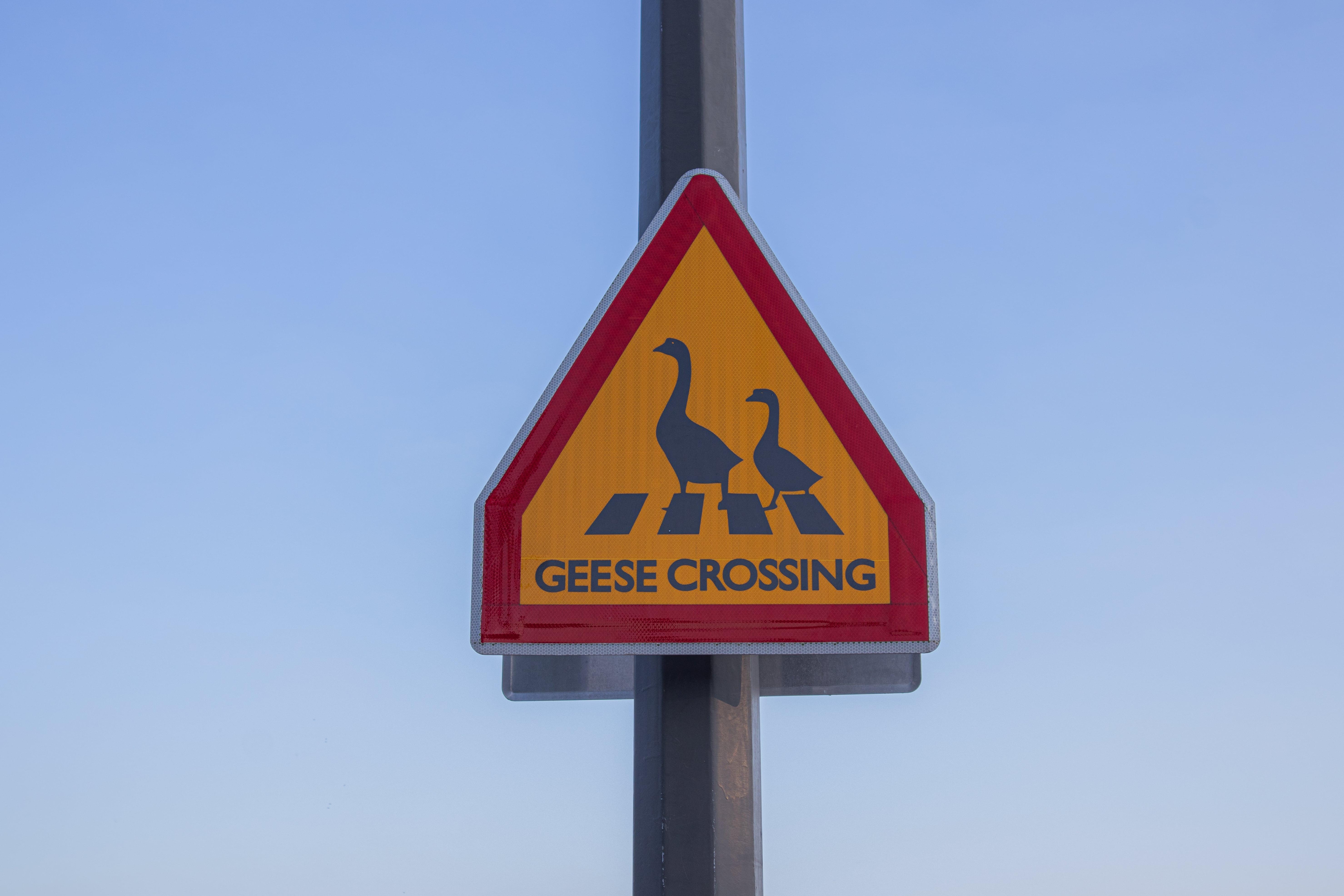 如何评价韩国科学技术院（KAIST）？ - 知乎