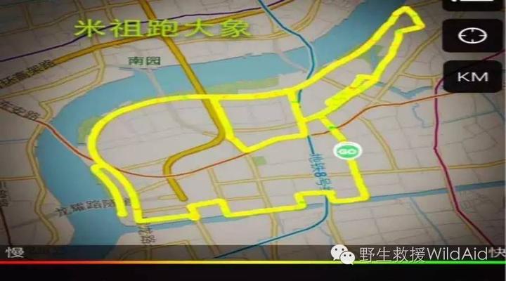 史上最牛正能量！他们用22km跑步轨迹绘制大象，呼吁保护大象 - 知乎