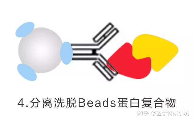 一文读懂CoIP实验 || 原理、实验流程、遇到的问题 - 知乎