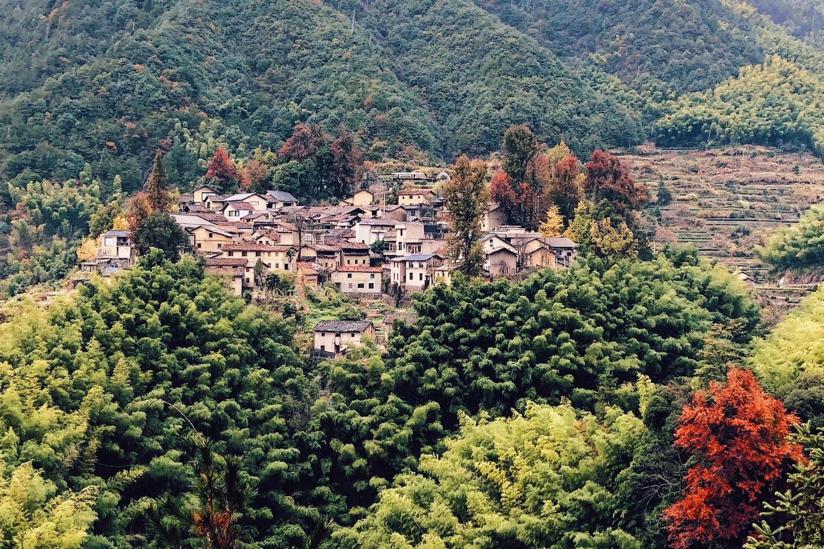 mBART：多语言翻译预训练模型 - 知乎