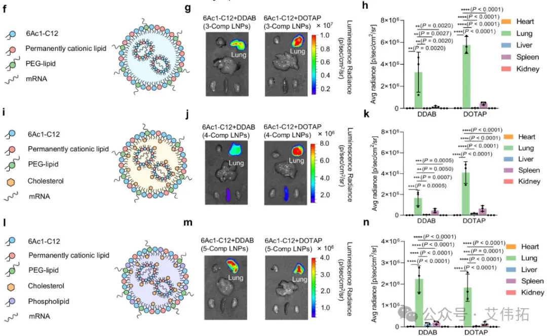 为LNP配方做减法：三组份LNP相关研究进展 - 知乎